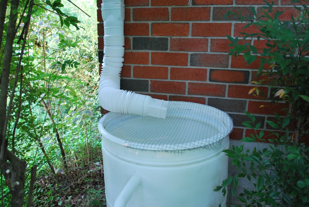 Building a Rainwater Collection System: A GearDiary DIY | Gear Diary