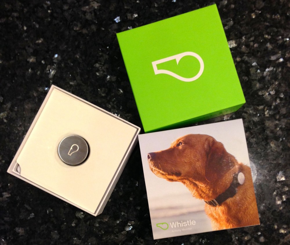 Whistle, the Fitness Tracker for Dogs, Is Useful and Helpful | Gear Diary