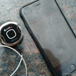 Use the iGrill Mini to Get perfectly Cooked Meats for Memorial Day ...