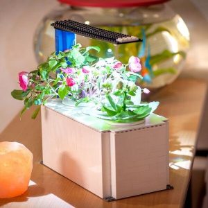 Click & Grow Creates an Affordable DIY Indoor Garden | Gear Diary