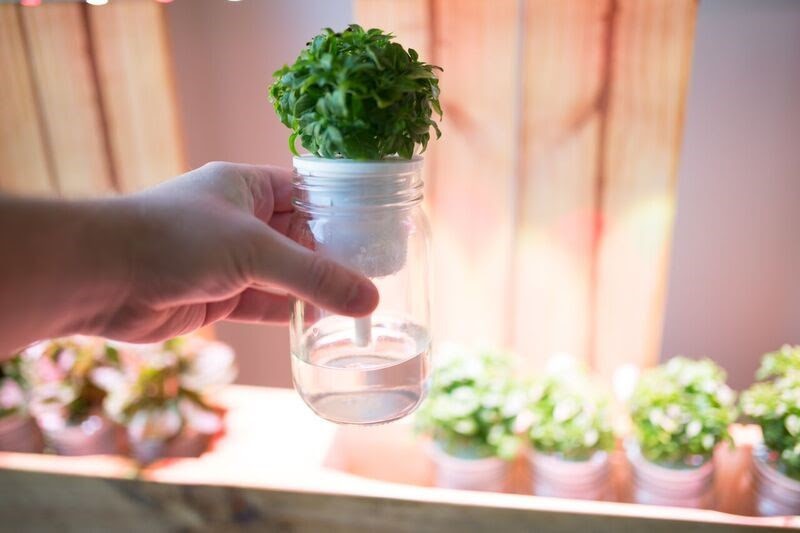Click & Grow Creates an Affordable DIY Indoor Garden | Gear Diary