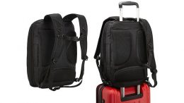 Professional Slim Laptop Backpack: The Bag That Can Do It All, from ...