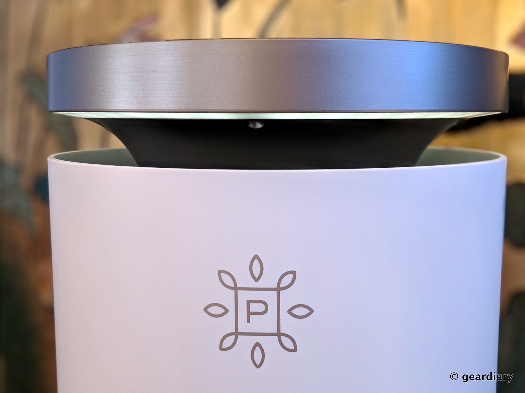The Pure Company Large Room Air Purifier: Beautiful, Powerful, and ...