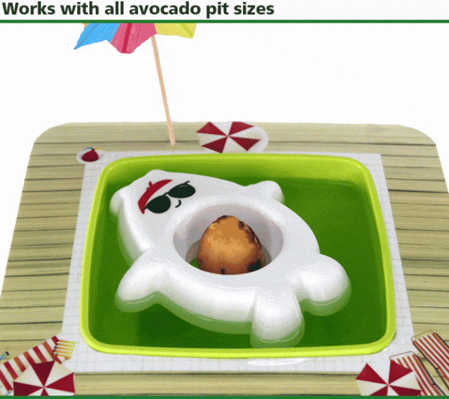 AvoSeedo Lets You Grow Your Own Avocado Tree (Toast Not Included)