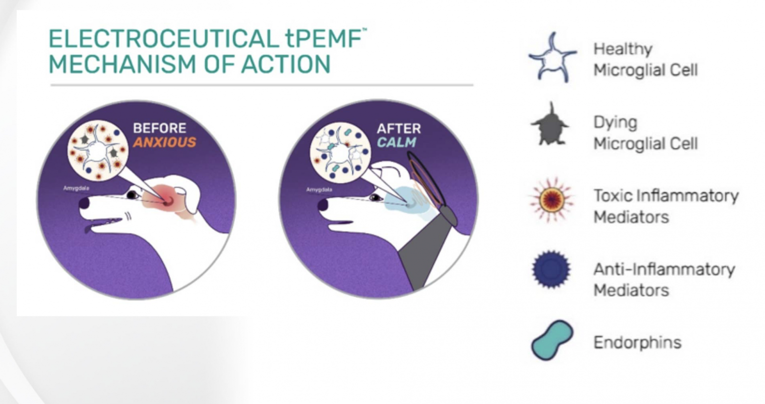 Calmer Canine Soothes Your Anxious Dog in Sci-Fi Style