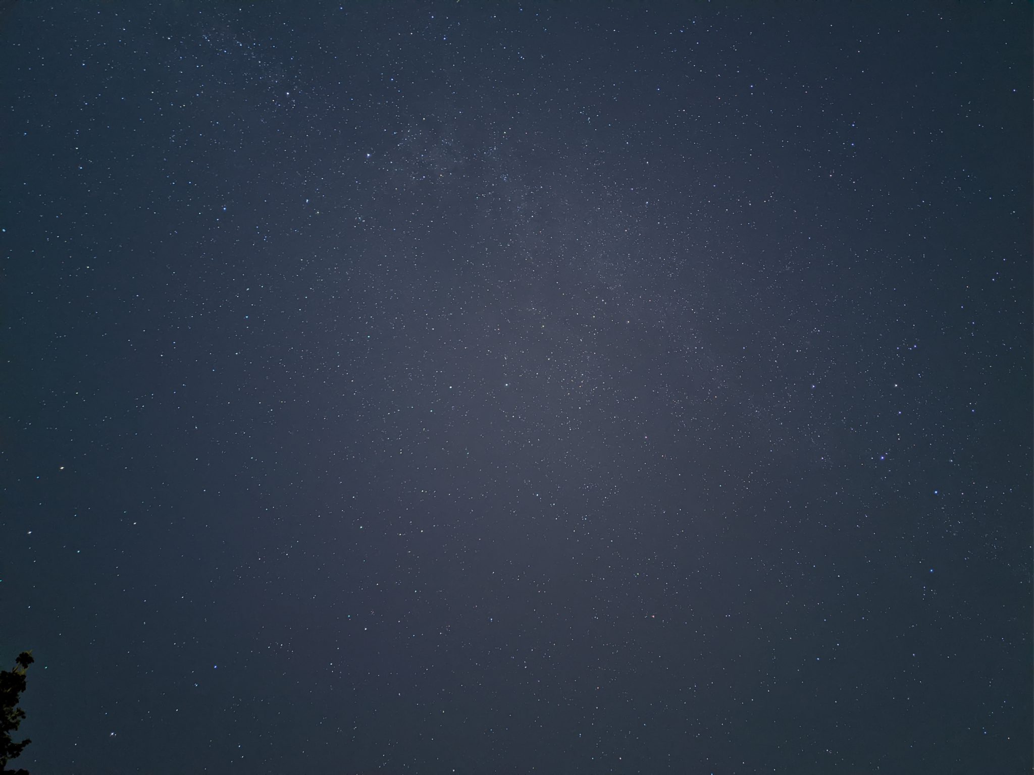 6 Months with the Pixel 4