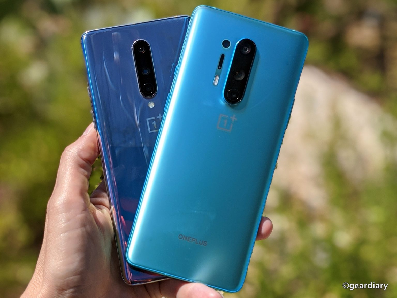 OnePlus 8 Series Review: Which One would Be Best for You?