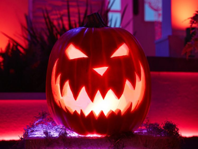 Reader Beware, You're in for a Scare Thanks to Philips Hue