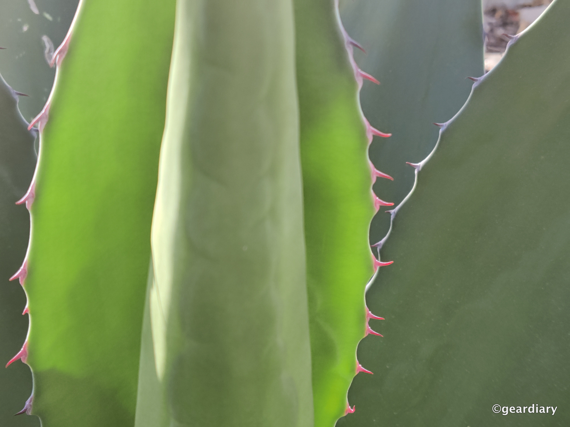 One Plus 8T Review: It's Nearly Perfect