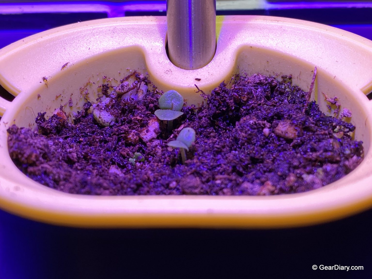 Altifarm's Pico Indoor Garden Is a Cute Way to Grow Plants Indoors ...