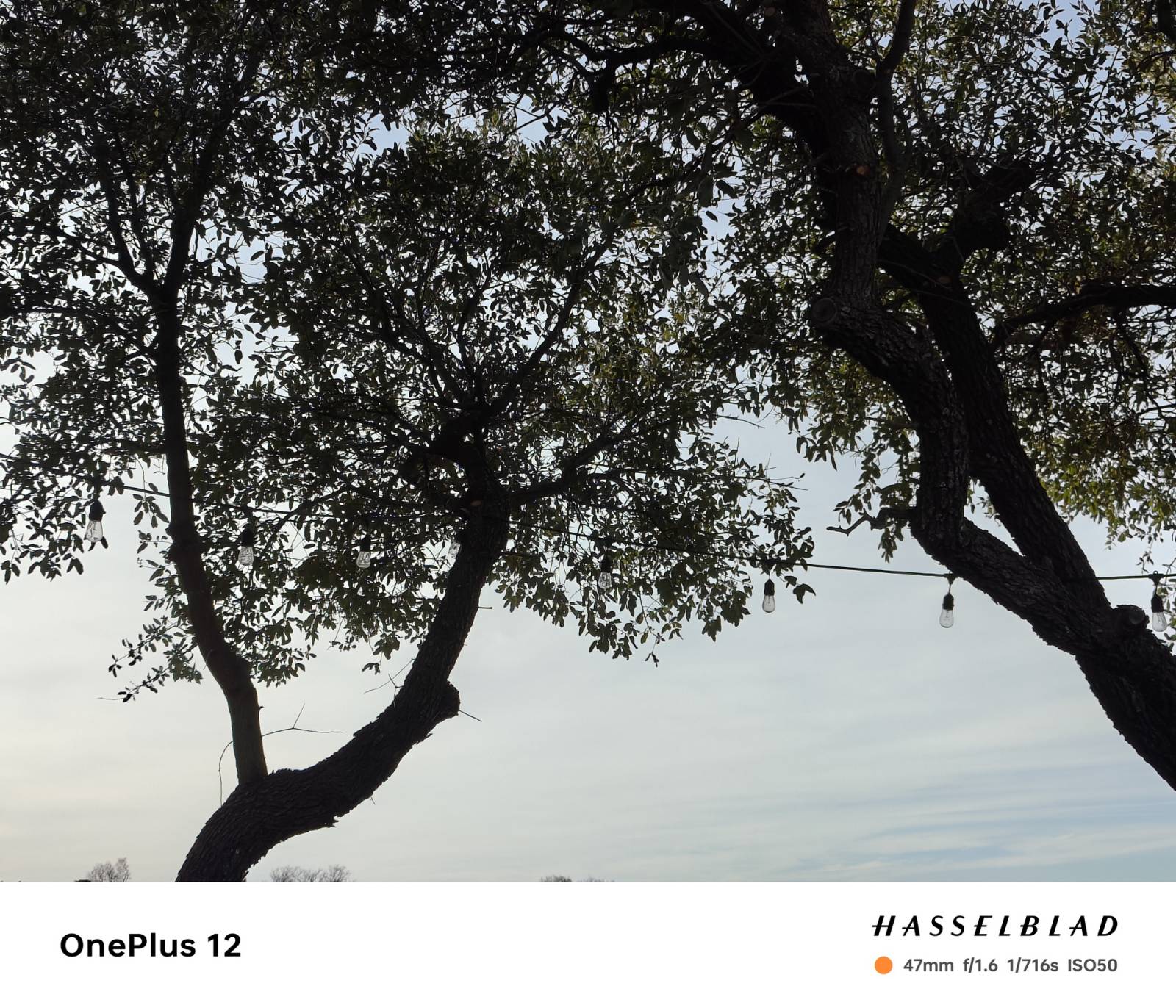 OnePlus 12 Review: OnePlus Delivers an Affordable Android Flagship That ...