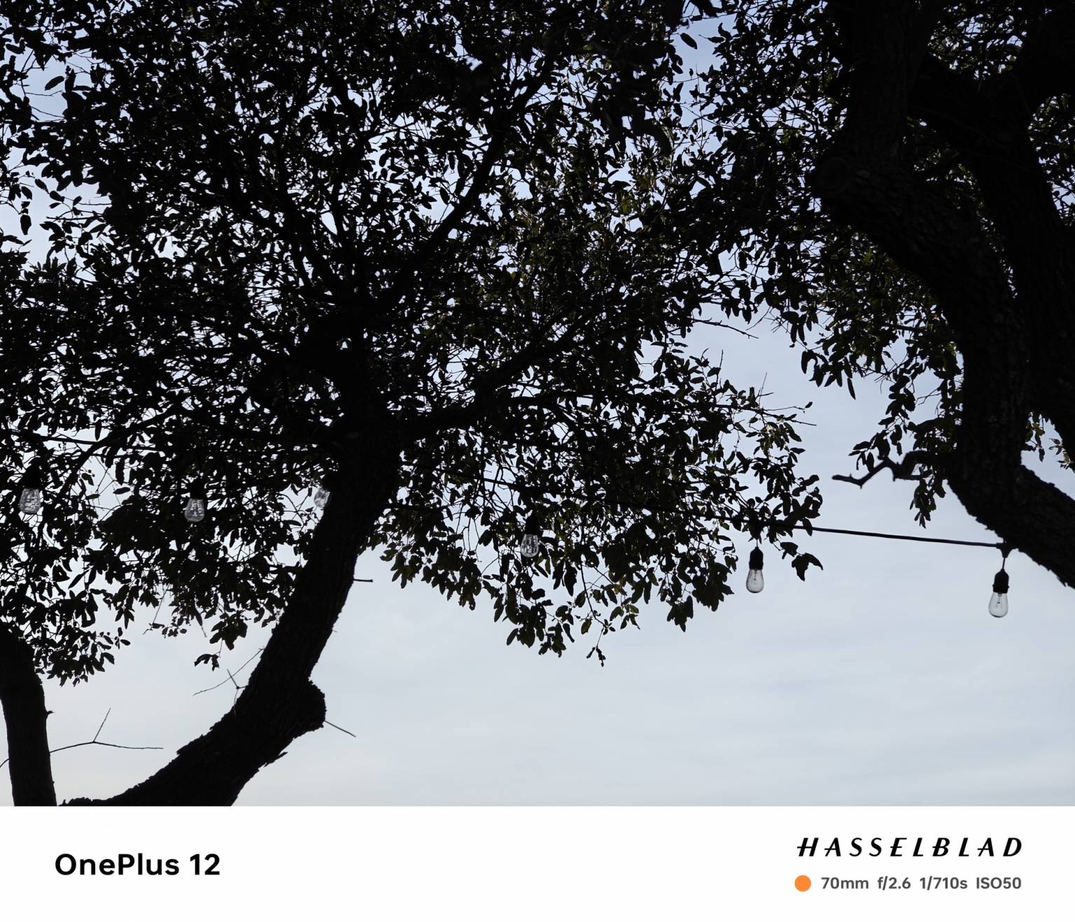 OnePlus 12 Review: OnePlus Delivers an Affordable Android Flagship That ...