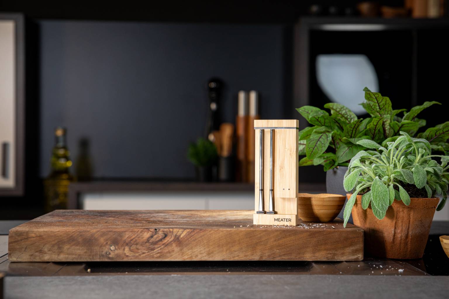Take the Guesswork Out of Cooking with the MEATER Pro Duo: Precision ...