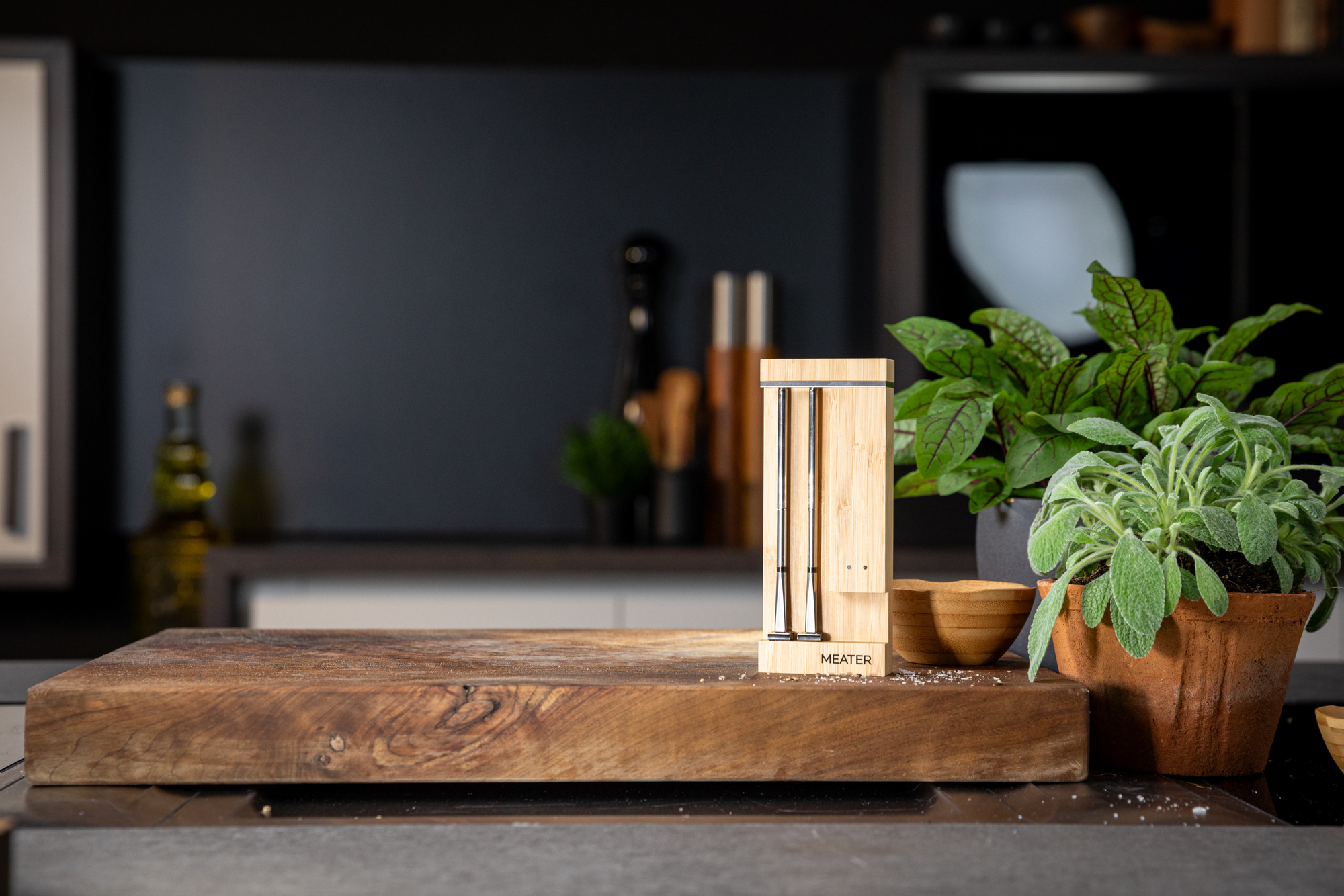 Take the Guesswork Out of Cooking with the MEATER Pro Duo: Precision ...