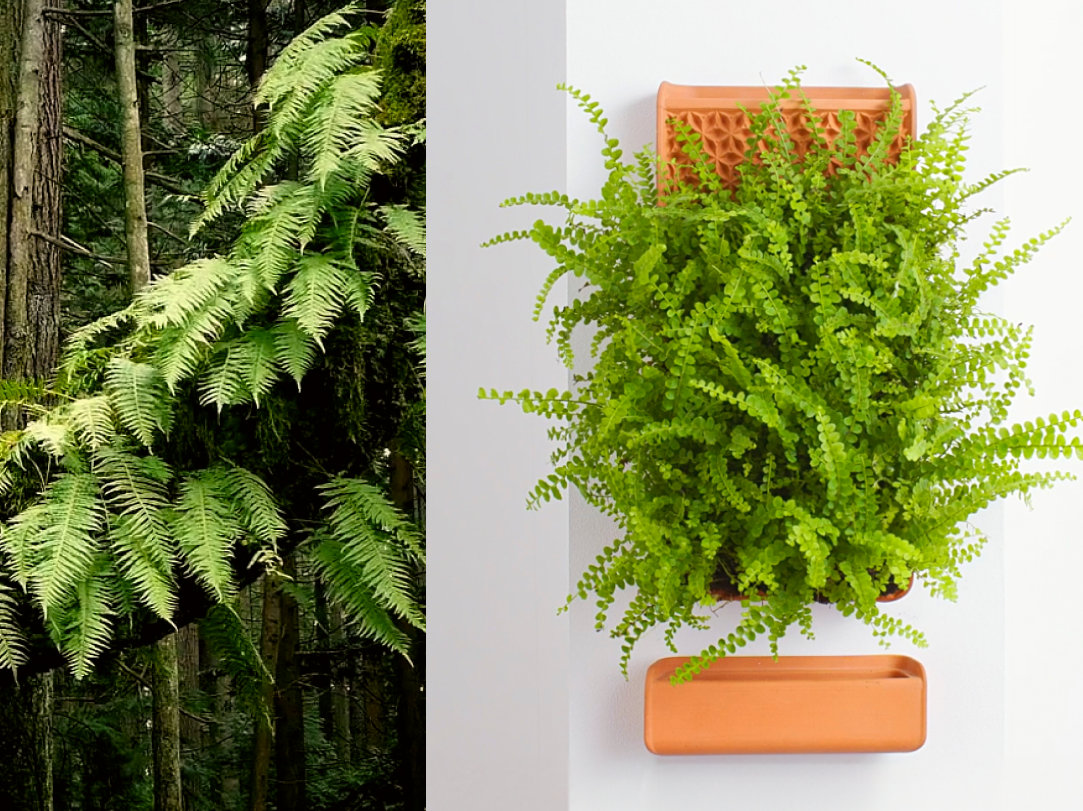 TevaPlanter Tile Is a Low-Maintenance, Self-Watering Planter That ...