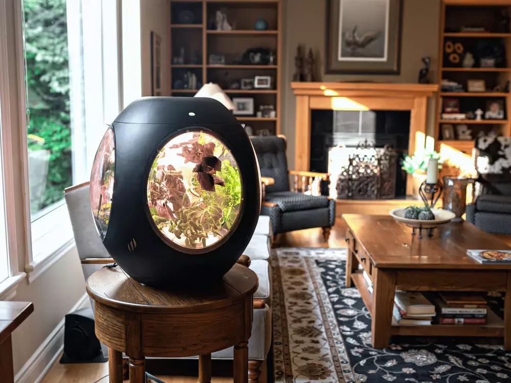 The Plantaform Smart Indoor Garden Grows Fresh Herbs & Greens Year ...