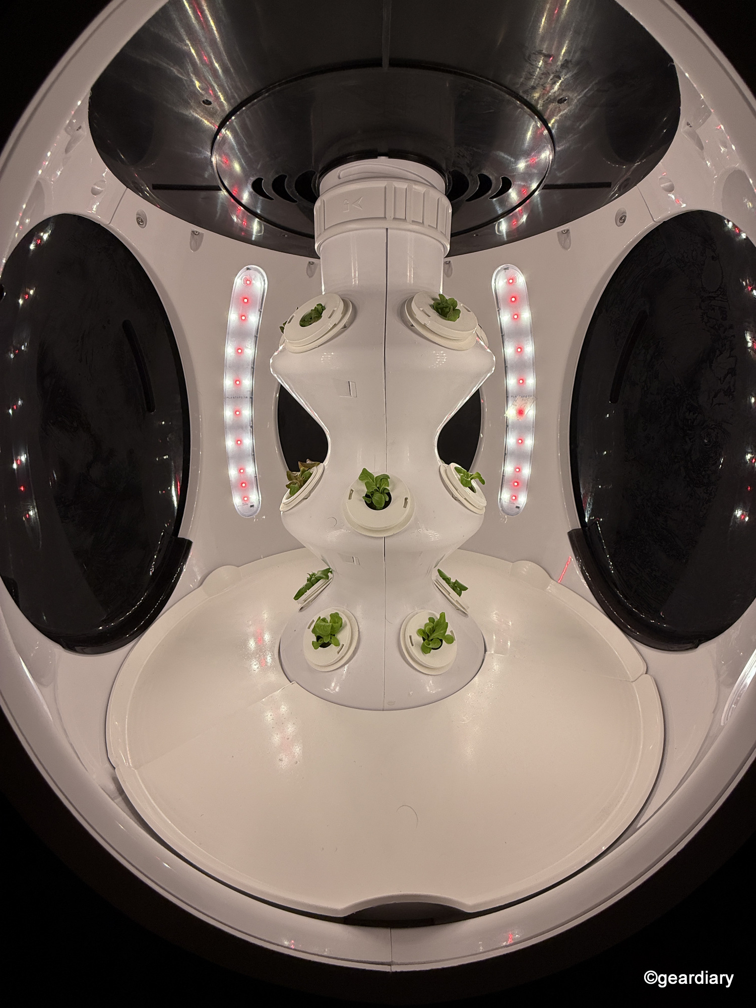 Plantaform Smart Indoor Garden Review: You'll Be Growing Edible Plants ...